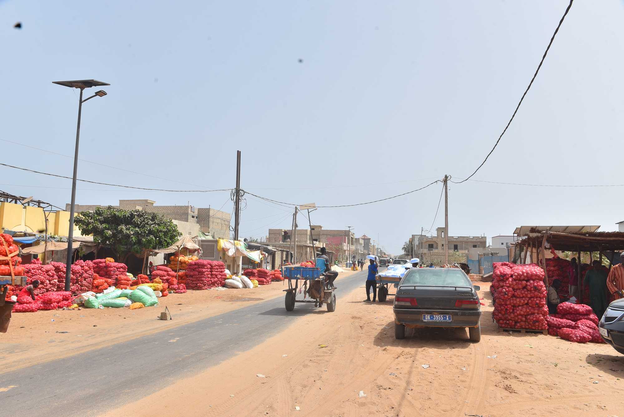 Horti Business Senegal